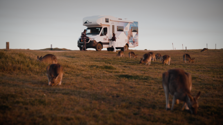 QLD Music Trails: The Outback Returns for 2026 – A Journey Like No ...