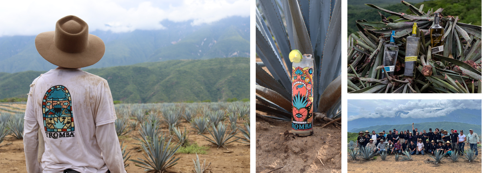 Paloma Month: Sip, Celebrate, and Support a Good Cause - Best Of Brisbane